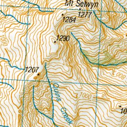 Mount Selwyn, Otago - NZ Topo Map