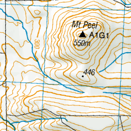 Mount Peel, Southland - NZ Topo Map