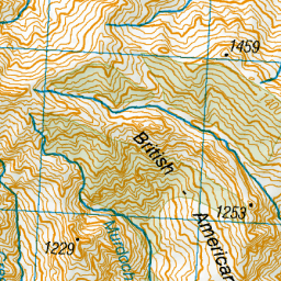 British-American Spur, Otago - NZ Topo Map