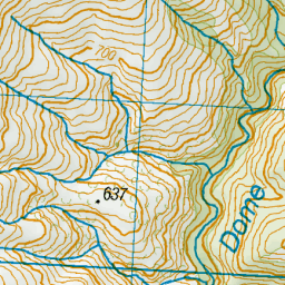 Dome Burn, Southland - NZ Topo Map