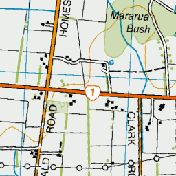 Mararua Bush, Southland - NZ Topo Map