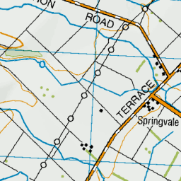 Springvale, Southland - NZ Topo Map