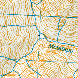 Motatapu River North Branch, Otago - NZ Topo Map