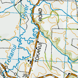 Tokanui River, Southland - NZ Topo Map
