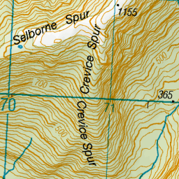 Crevice Spur, West Coast - NZ Topo Map