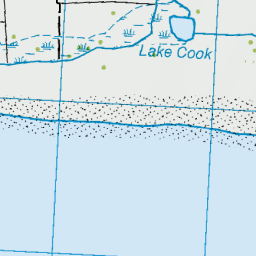 Lake Cook, Southland - NZ Topo Map