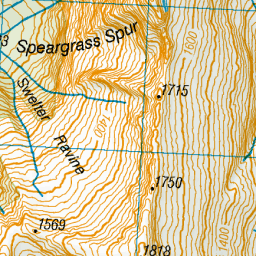 Speargrass Spur, West Coast - NZ Topo Map