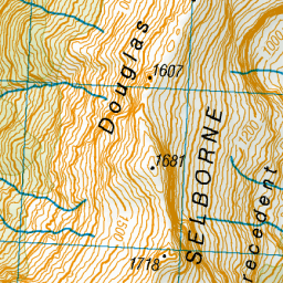SELBORNE RANGE, West Coast - NZ Topo Map