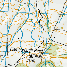 Flamborough Head, Southland - NZ Topo Map