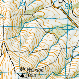 Mount Wendon, Southland - NZ Topo Map