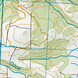 Cook Creek, Southland - NZ Topo Map