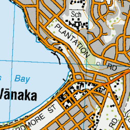 Wanaka, Otago - NZ Topo Map