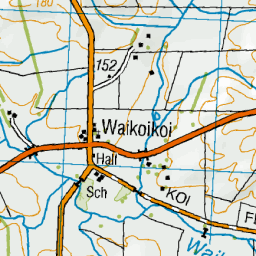 Waikoikoi, Otago - NZ Topo Map