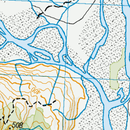 Makarora River, Otago - NZ Topo Map