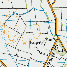 Toropuke, Otago - NZ Topo Map