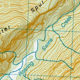 Roaring Swine Creek, West Coast - NZ Topo Map