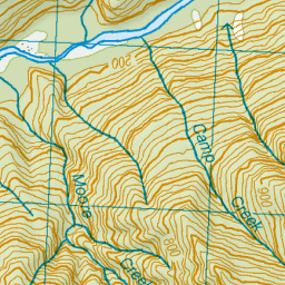 Thomas River, West Coast - NZ Topo Map