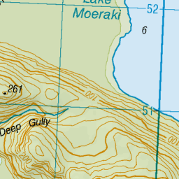 Deep Gully, West Coast - NZ Topo Map