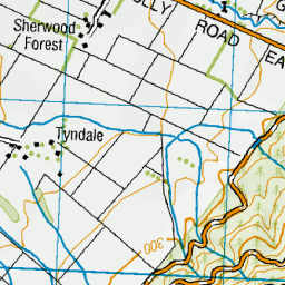 Tyndale, Otago - NZ Topo Map