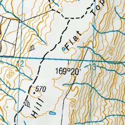 FLAT TOP HILL, Otago - NZ Topo Map