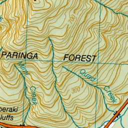 PARINGA FOREST, West Coast - NZ Topo Map