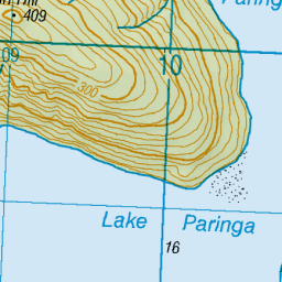 Lake Paringa, West Coast - NZ Topo Map