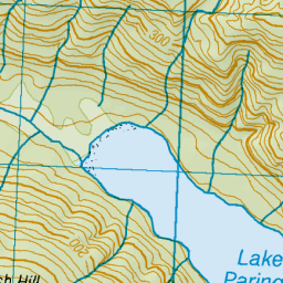 Lake Paringa, West Coast - NZ Topo Map