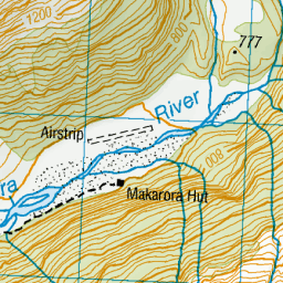 Makarora Hut, Otago - NZ Topo Map