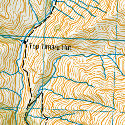 Top Timaru Creek Hut, Otago - NZ Topo Map