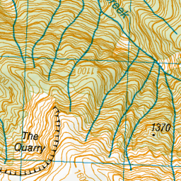 The Quarry, West Coast - NZ Topo Map