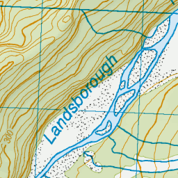 Landsborough River, West Coast - NZ Topo Map