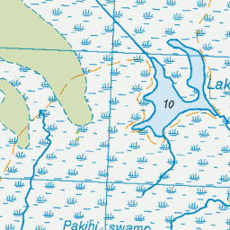 Lake Kini, West Coast - NZ Topo Map
