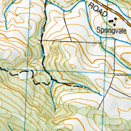 Springvale, Otago - NZ Topo Map