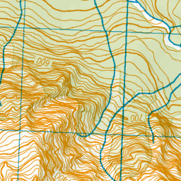 Otoko River, West Coast - NZ Topo Map
