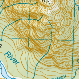 Mahitahi River, West Coast - NZ Topo Map