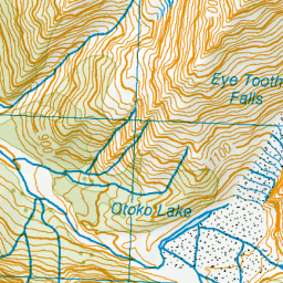 Otoko Lake, West Coast - NZ Topo Map