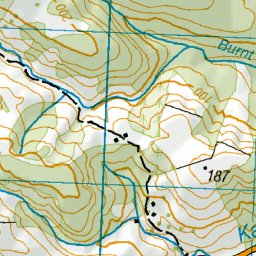 Burnt Scrub Stream, Otago - NZ Topo Map