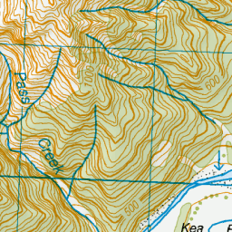 Kea Flat, West Coast - NZ Topo Map