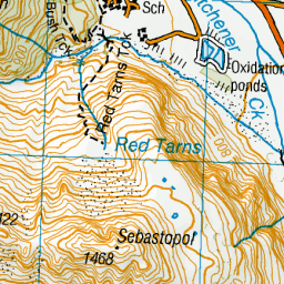 Red Tarns, Canterbury - NZ Topo Map