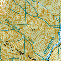 Whataroa River, West Coast - NZ Topo Map