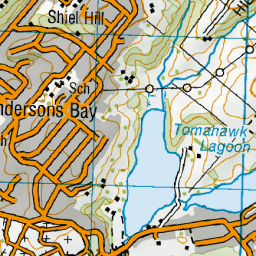 Tomahawk Lagoon, Otago - NZ Topo Map