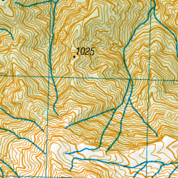 Adamson Creek, West Coast - NZ Topo Map