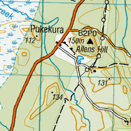 Pukekura, West Coast - NZ Topo Map