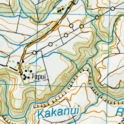 Tapui, Otago - NZ Topo Map