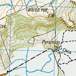 Pyramids, Otago - NZ Topo Map