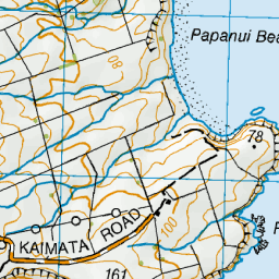 Puddingstone Rock, Otago - NZ Topo Map