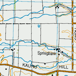 Springbank, Otago - NZ Topo Map