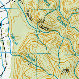 Italian Gully, West Coast - NZ Topo Map
