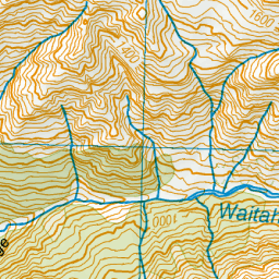 Waitaha River, West Coast - NZ Topo Map
