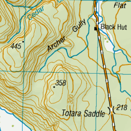 Totara River, West Coast - NZ Topo Map